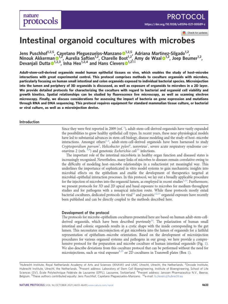 Intestinal Organoid Cocultures With Microbes: Protocol | PDF | Bacteria ...