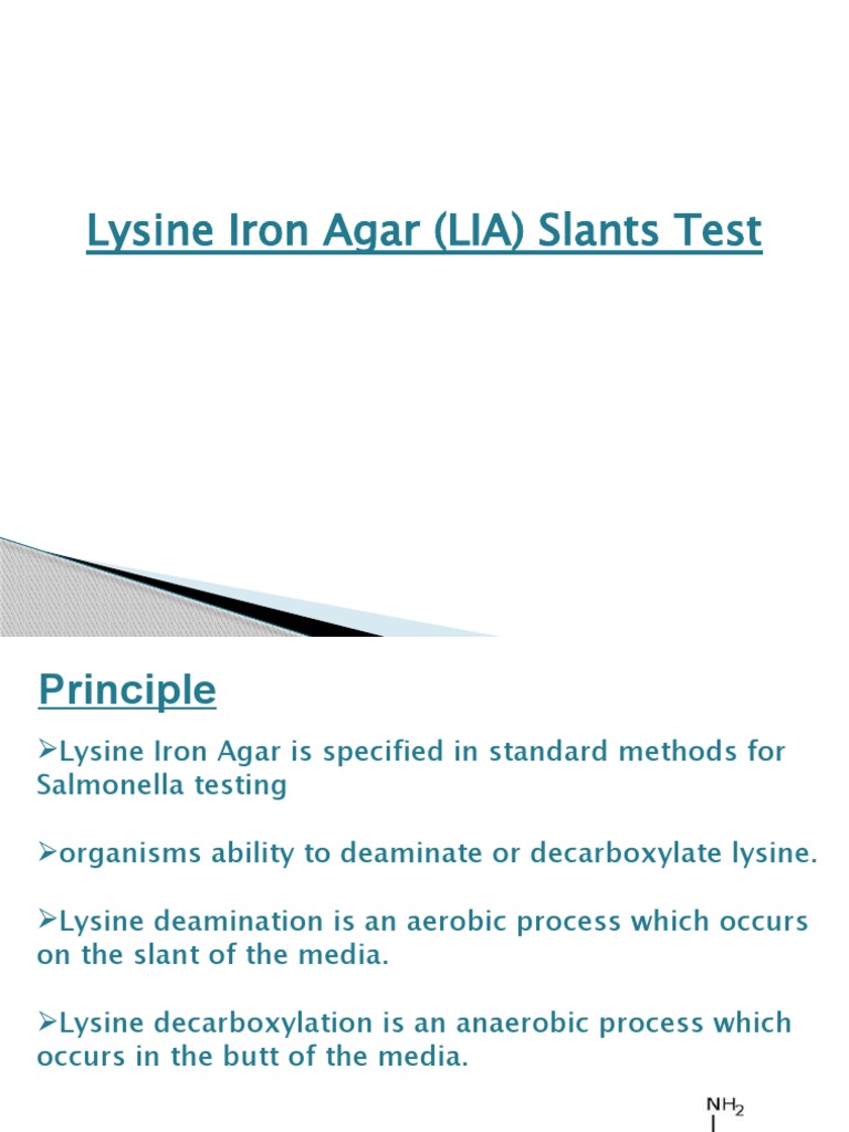 LIA Method | PDF