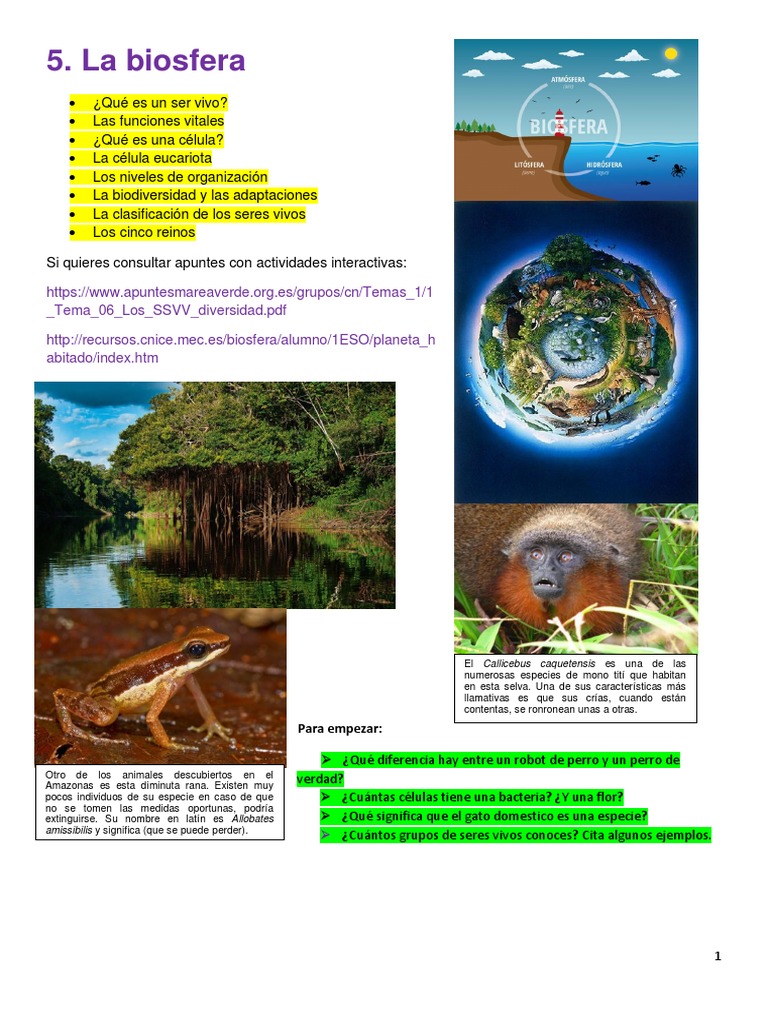 5-La-biosfera | PDF | Biología Celular) | Organismos