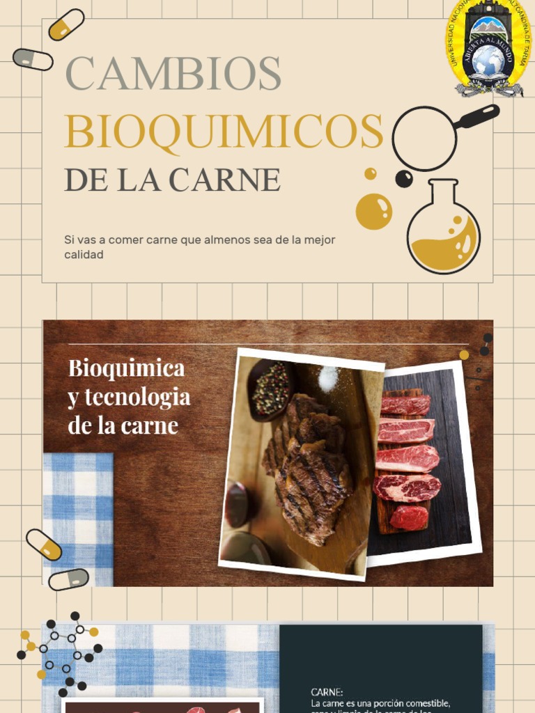 Cambios Bioquimicos de La Carne | PDF