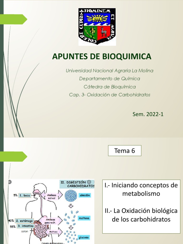 Bioq Tema 6 y 7 (Hasta DOP) 2022-1 | PDF | Glucólisis | Trifosfato de adenosina