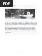 Archery Assignment | PDF