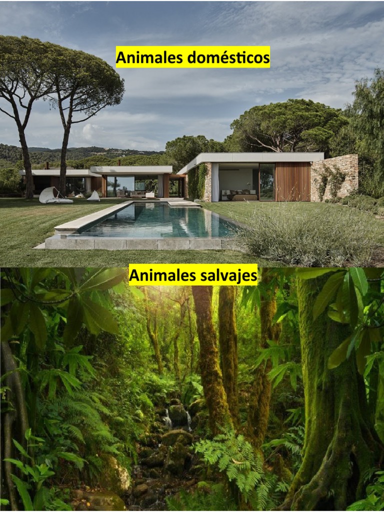 Animales Domésticos vs. Salvajes | PDF