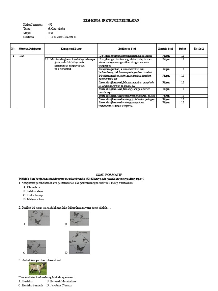 Instrumen Penilain Soal | PDF
