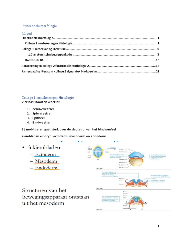 Functionele Morfologie | PDF