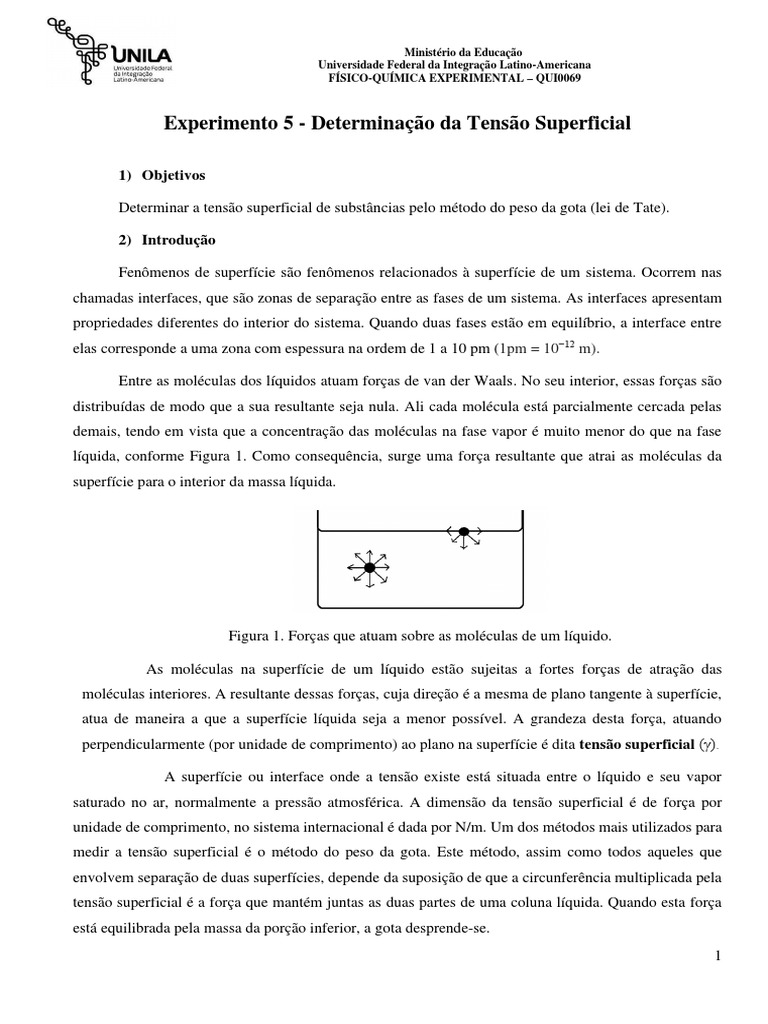 Experimento 5 Tenso Superficial | PDF | Tensão superficial | Líquidos