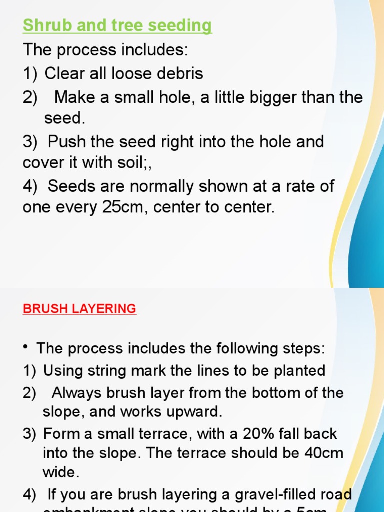 Shrub and Tree Seeding | PDF | Art | Science & Mathematics