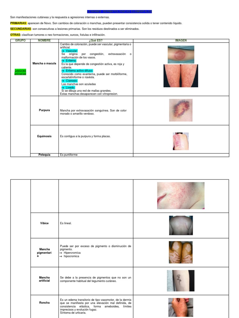 Derma Lesiones Elementales | PDF