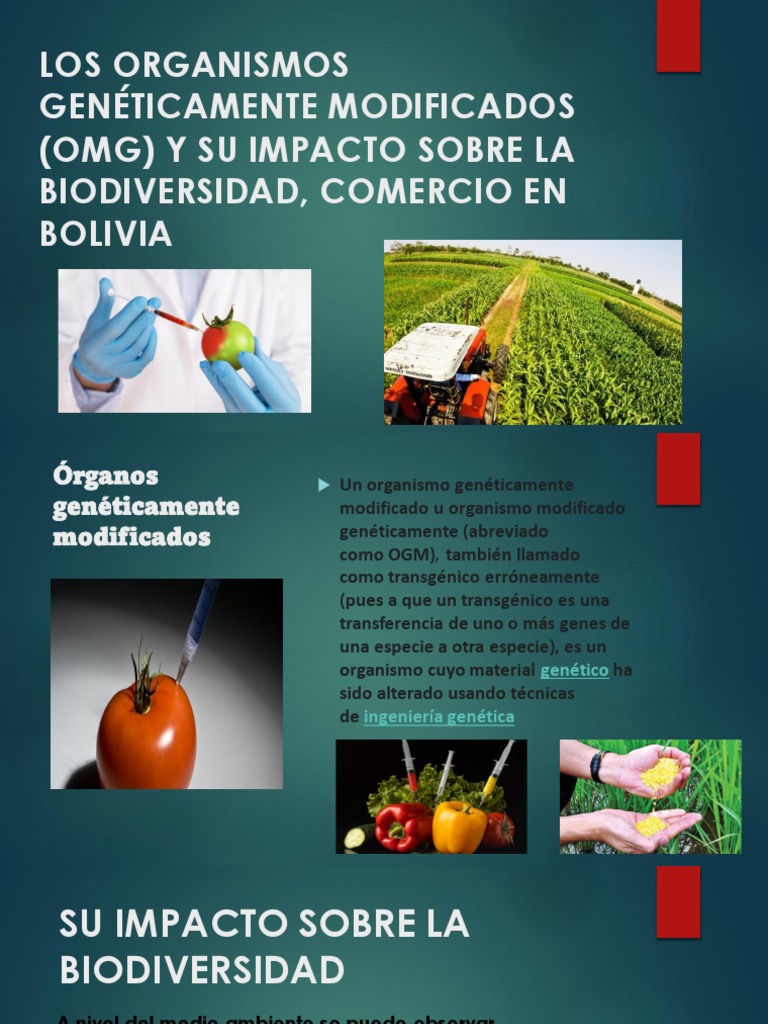Bio - Organismos Genéticamente Modificados | PDF