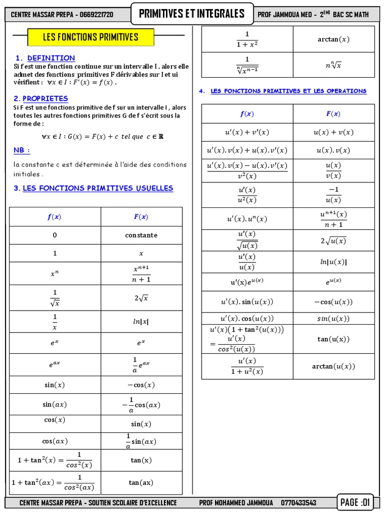 Calcul des Primitives et Intégrales | PDF