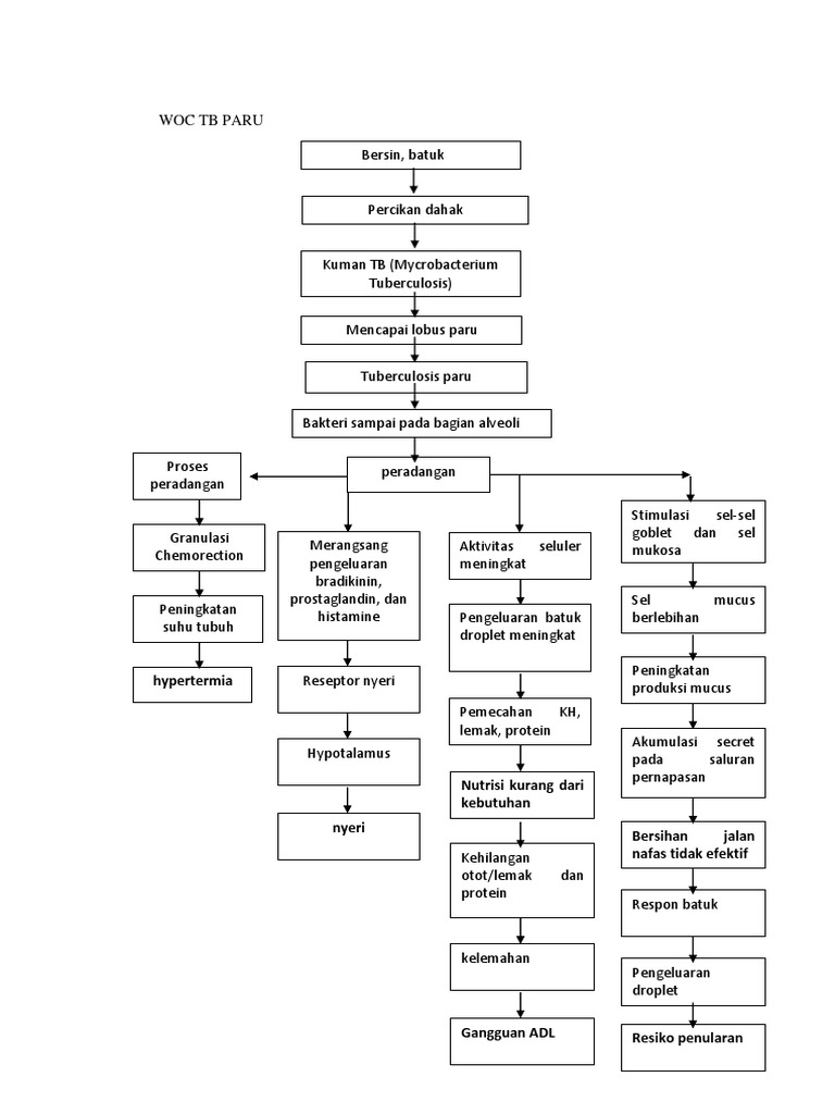 Pathway Tuberkulosis Paru dan WOC | PDF