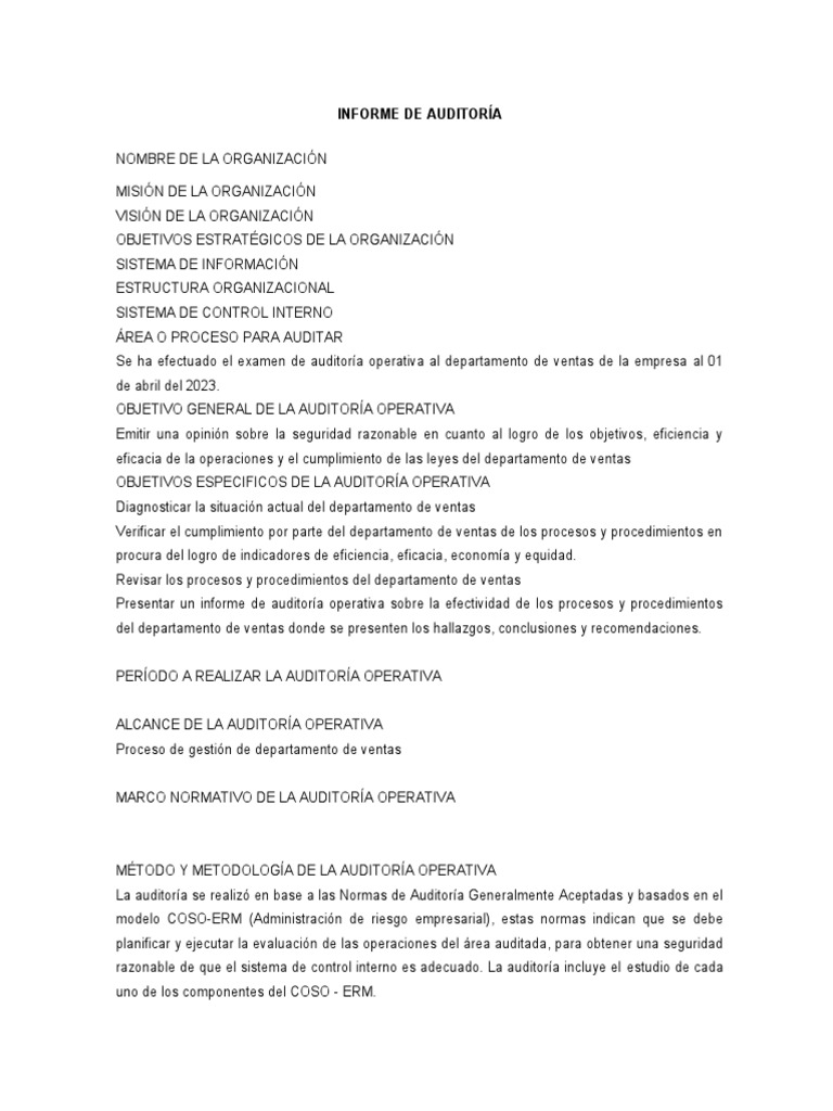 Informe de Auditoria Operativa - Modelo de Parametros para El Desarrollo Del Proyecto Fina ...