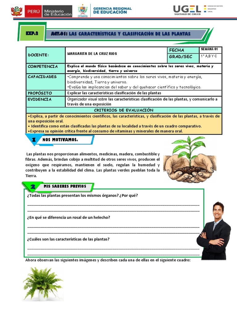 A-1º Act 1 Cyt Unid 2 - Sem 1 | PDF | Plantas | Musgo