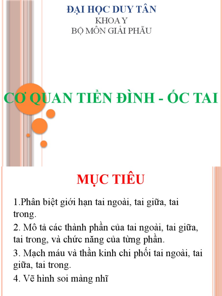 Cơ Quan Tien Dinh Oc Tai | PDF