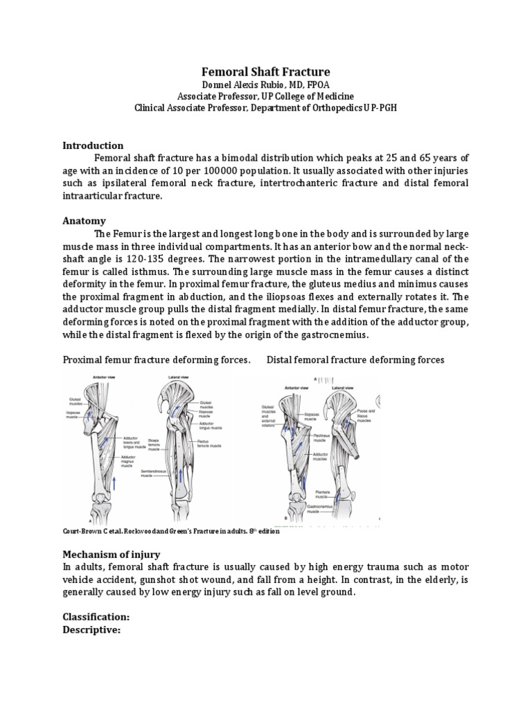 Femoral Shaft Fracture Guide | PDF | Anatomical Terms Of Location | Injury