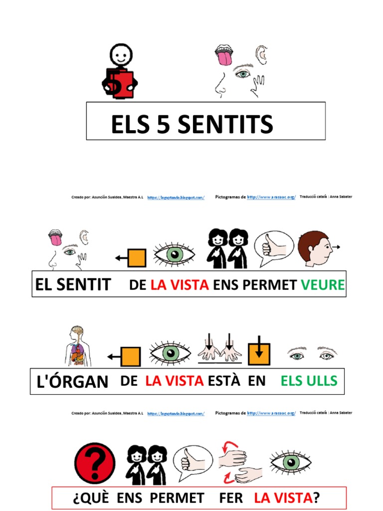 CA - Treballem - Els - 5 Sentits | PDF