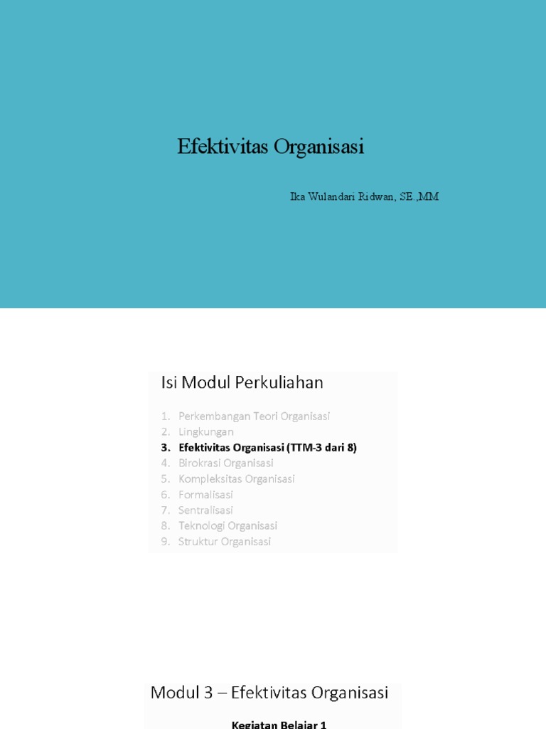 3 Efektivitas Organisasi | PDF