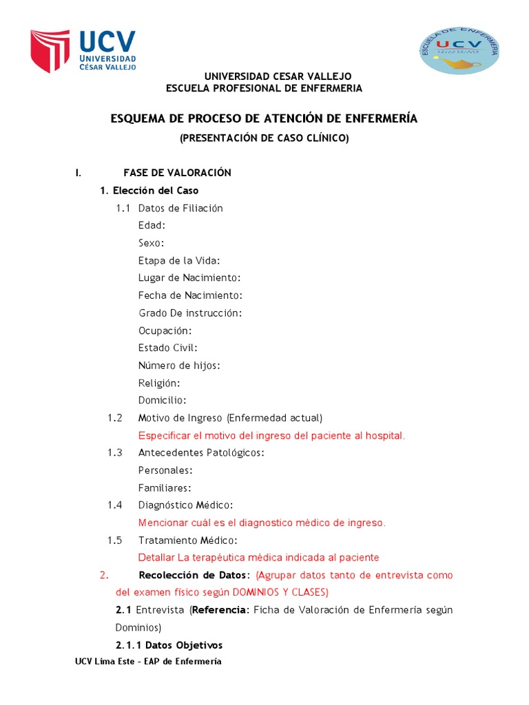 Esquema Pae | PDF | Enfermería | Examen físico