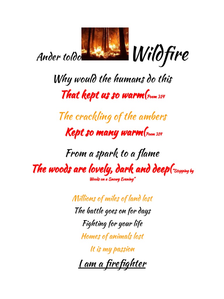 Ander Toldo - Found Poem Final Draft | PDF