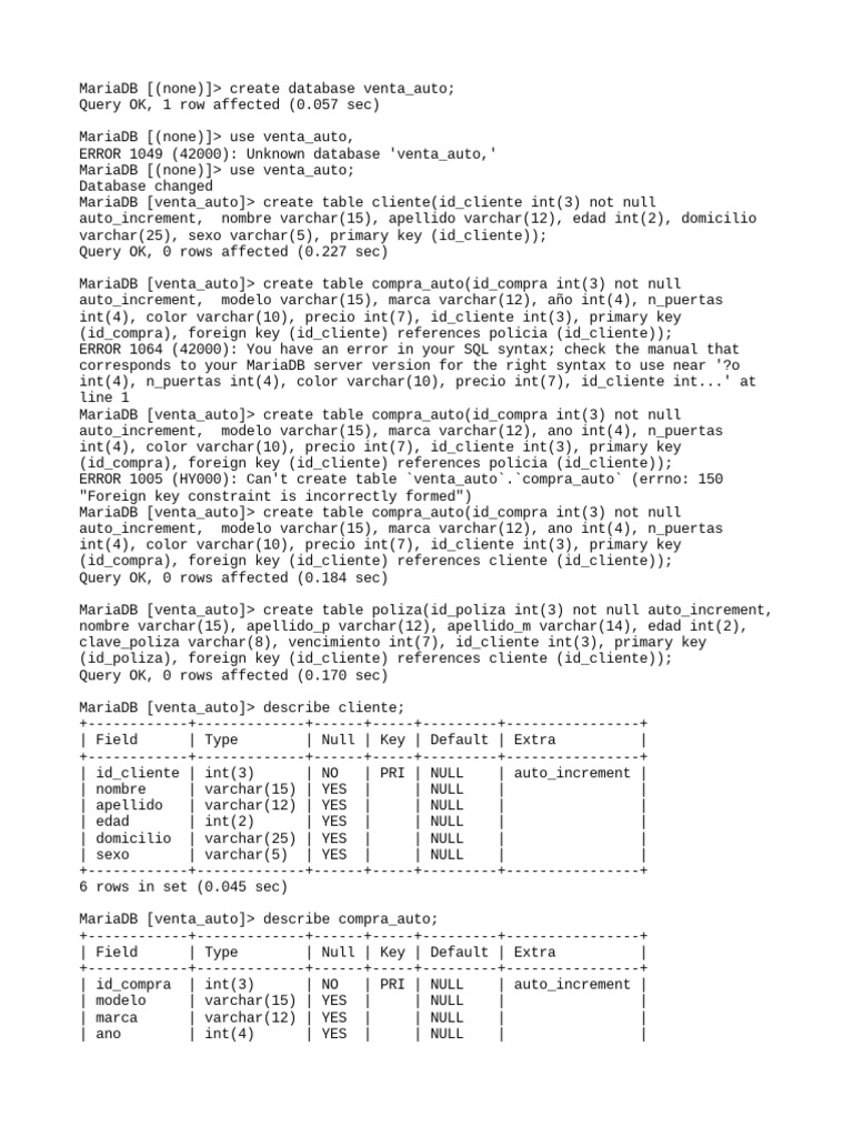 Auto | PDF | Modelo de datos | Programación de computadoras