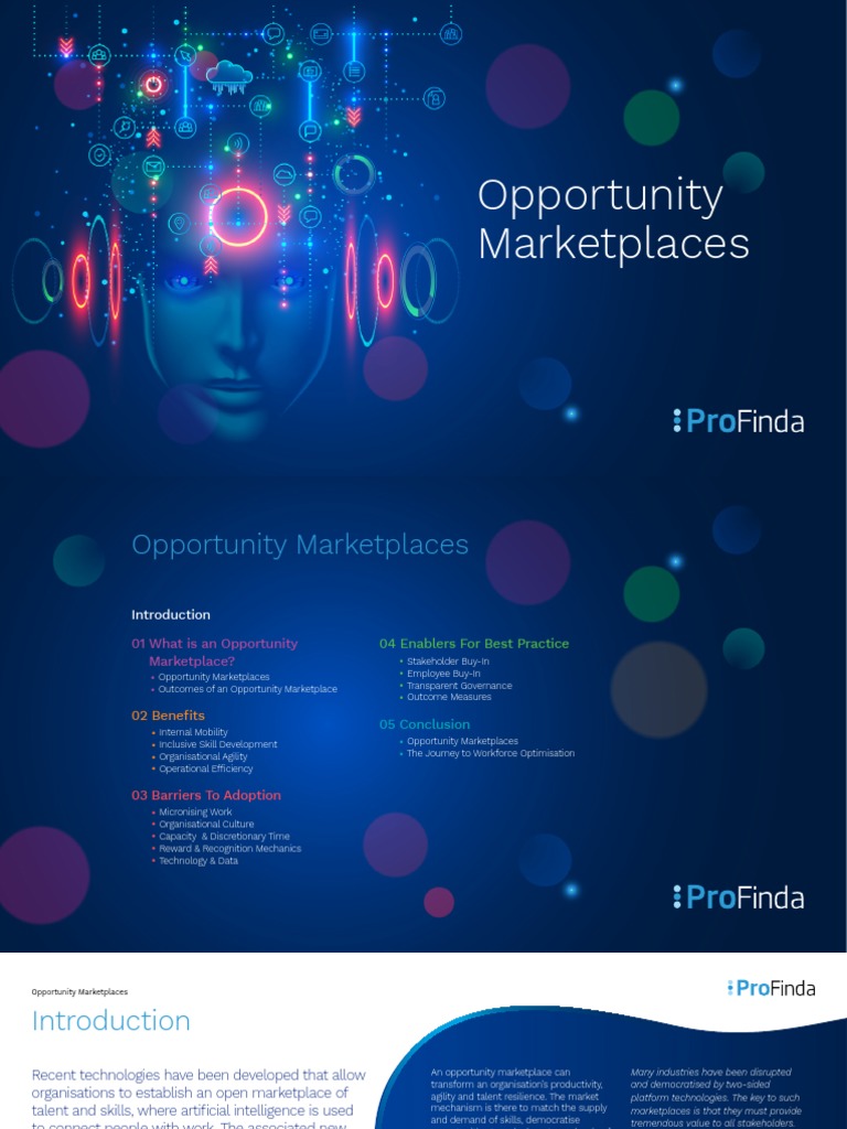 Profinda Opportunity Marketplaces White Paper | PDF | Employee ...