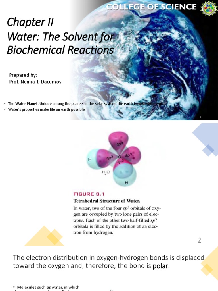 Chapter 2 - Water | PDF | Home & Garden | Science & Mathematics