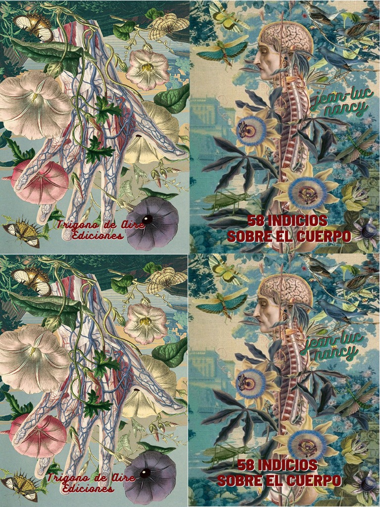 58 Indicios Sobre El Cuerpo | PDF