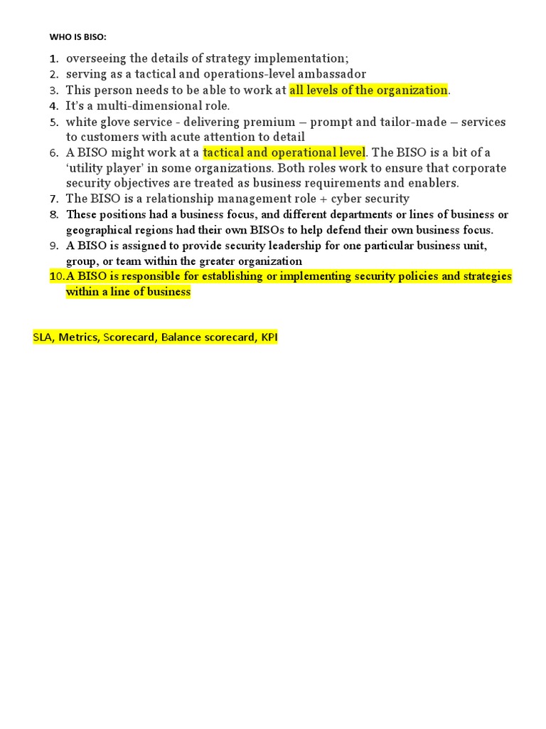Understanding the BISO Role in Security | PDF