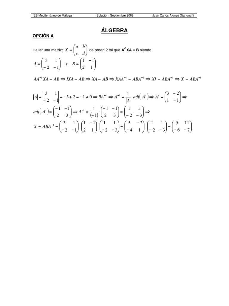 Selectividad Resueltos | PDF | Geometria plana) | Línea (geometría)
