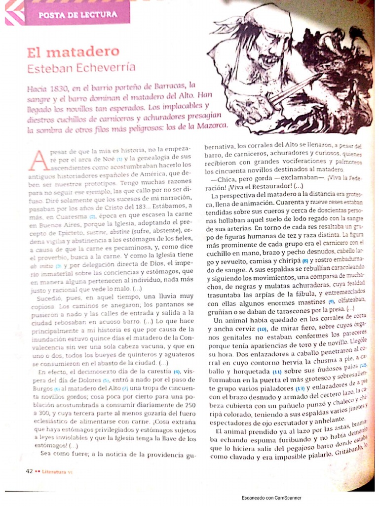 El Matadero de Esteban Echeverría | PDF
