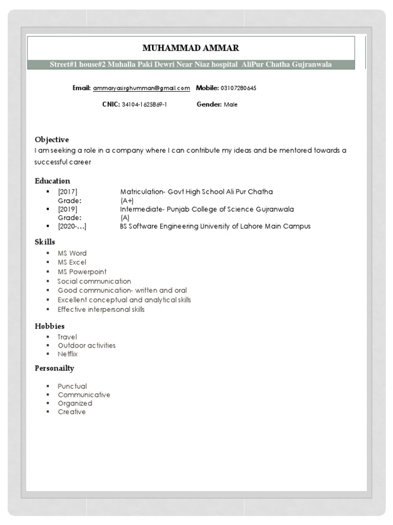 Muhammad Ammar CV | PDF