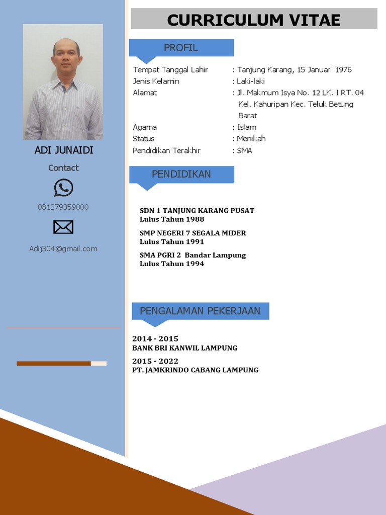 CV Adi Junaidi | PDF