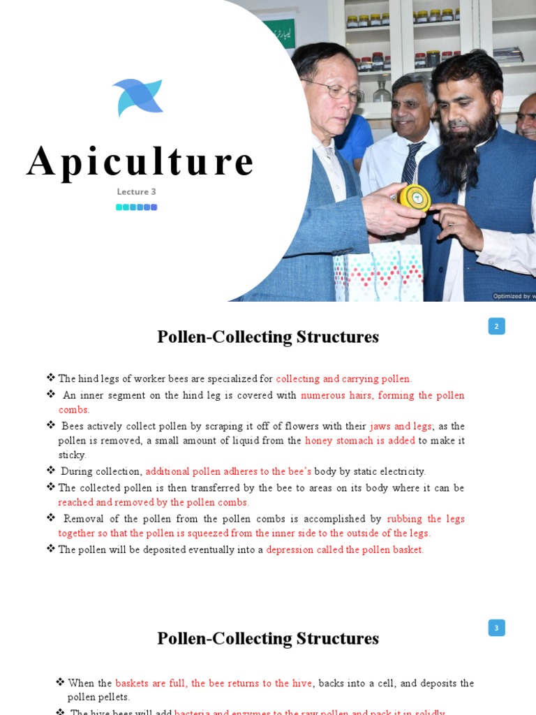 Lec 3 | PDF | Honey Bee | Bees