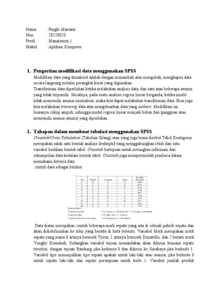 Tugas Pertemuan 3 Aplikasi Kom. PINGKI MARIANTI Nim 20220020 | PDF