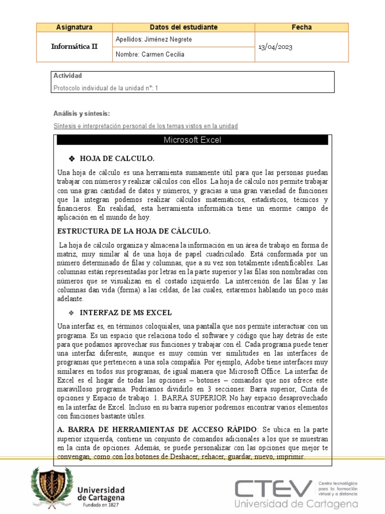 Plantilla Protocolo Individual | PDF | Microsoft Excel | Hoja de cálculo
