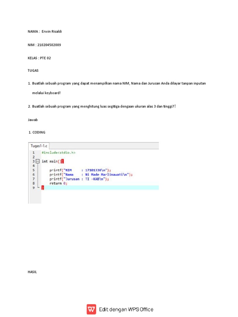 Tugas 1 Algoritma Dan Pemrograman Erwin Risaldi | PDF | Seni | Komputer