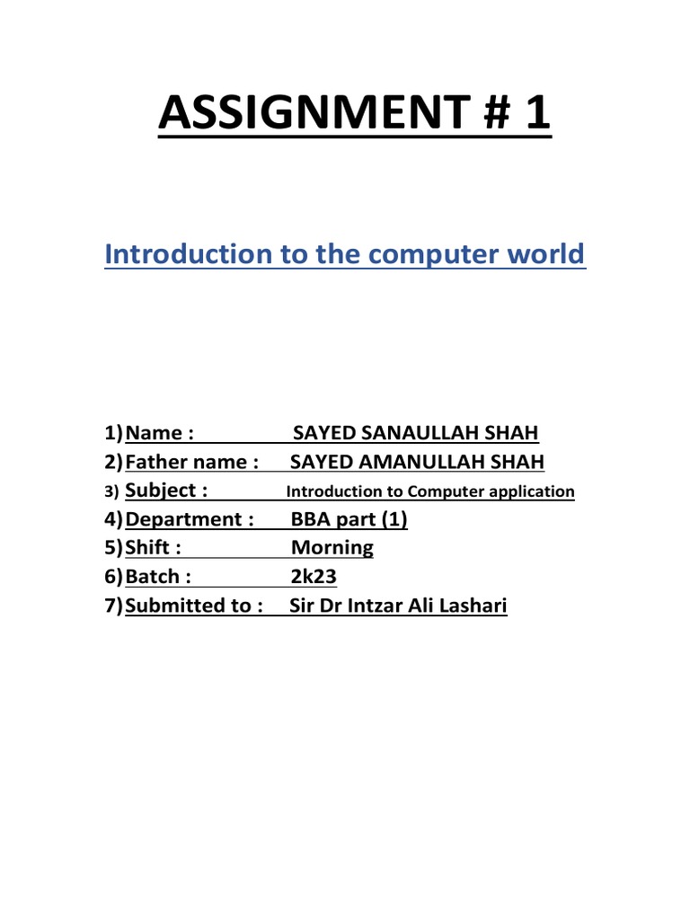 Computer Assignment No 1 | PDF | Personal Computers | Internet