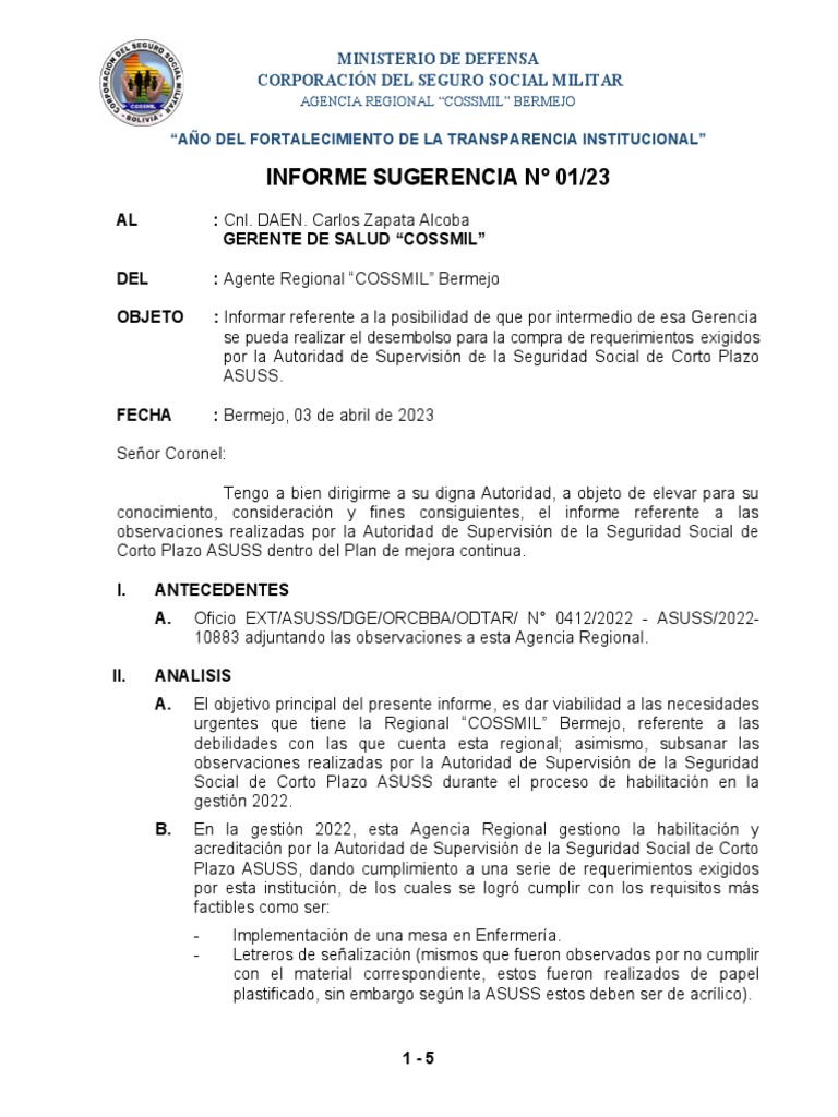 Informe Solicitud Asuss | PDF