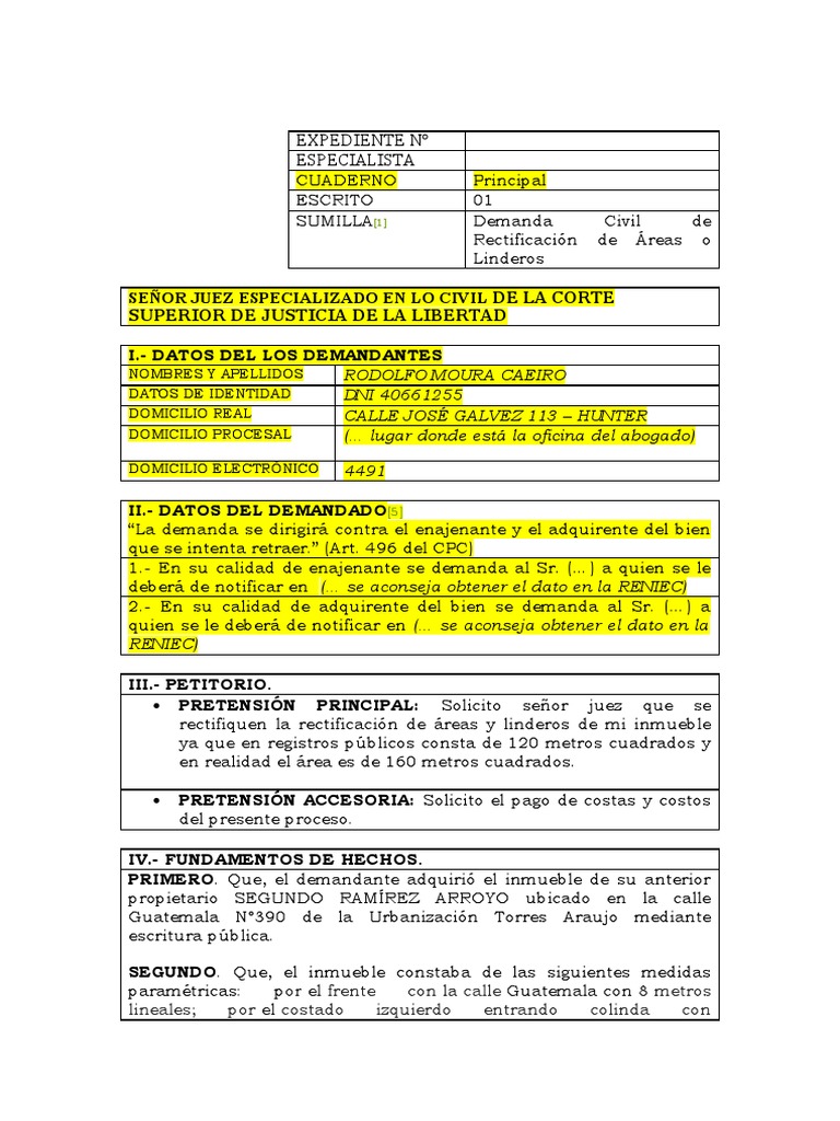 Demanda. R. Areas - Linderos | PDF | Propiedad | Demanda judicial