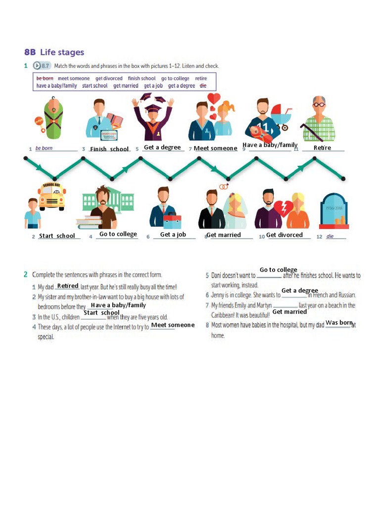 Unit 8B - Vocabulary - Life Stage | PDF
