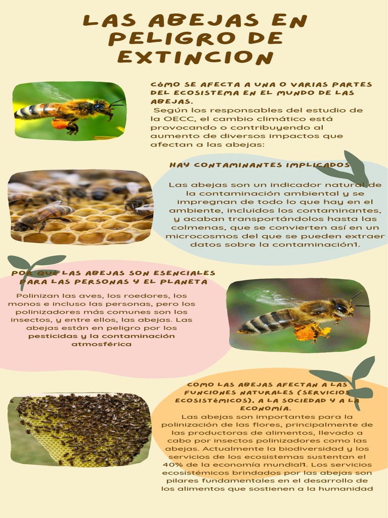 Las Abejas Sagrada Maya | PDF | Polinización | Abejas