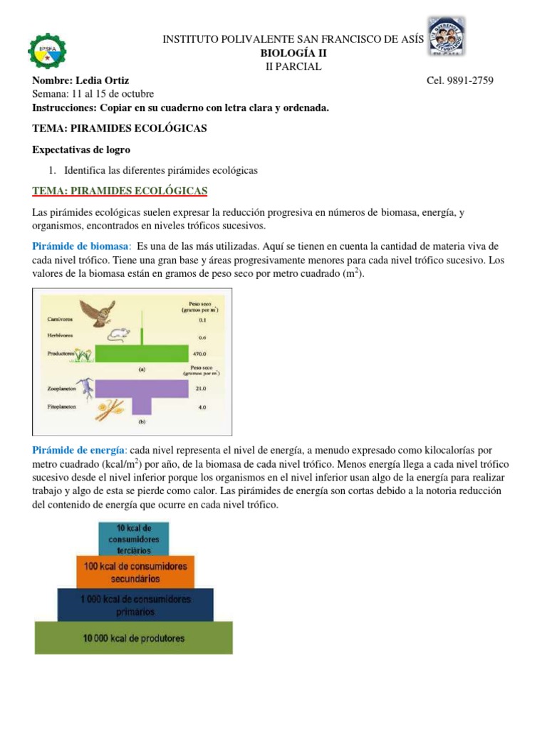 Pirámides Ecológicas | PDF