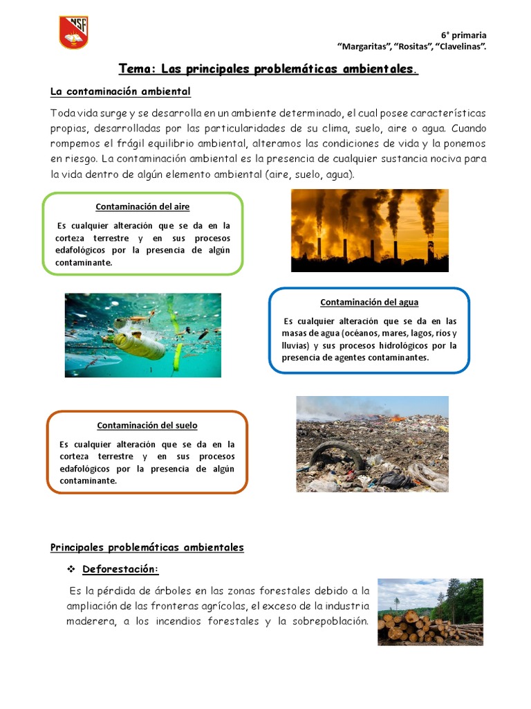 Las_principales_problematicas_ambientales | PDF | Entorno natural ...