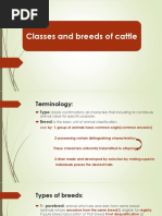 INRA 95 Bull Evolution International | PDF