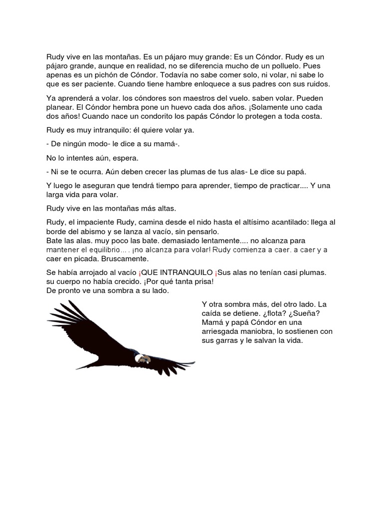 Documento 4 | PDF