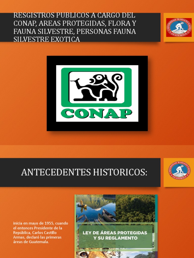 Conap | PDF | Fauna | Entorno natural