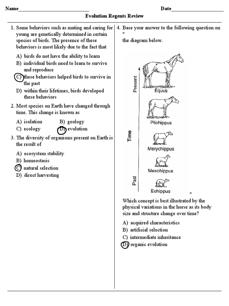 Evolution Regents Review | PDF | Evolution | Species