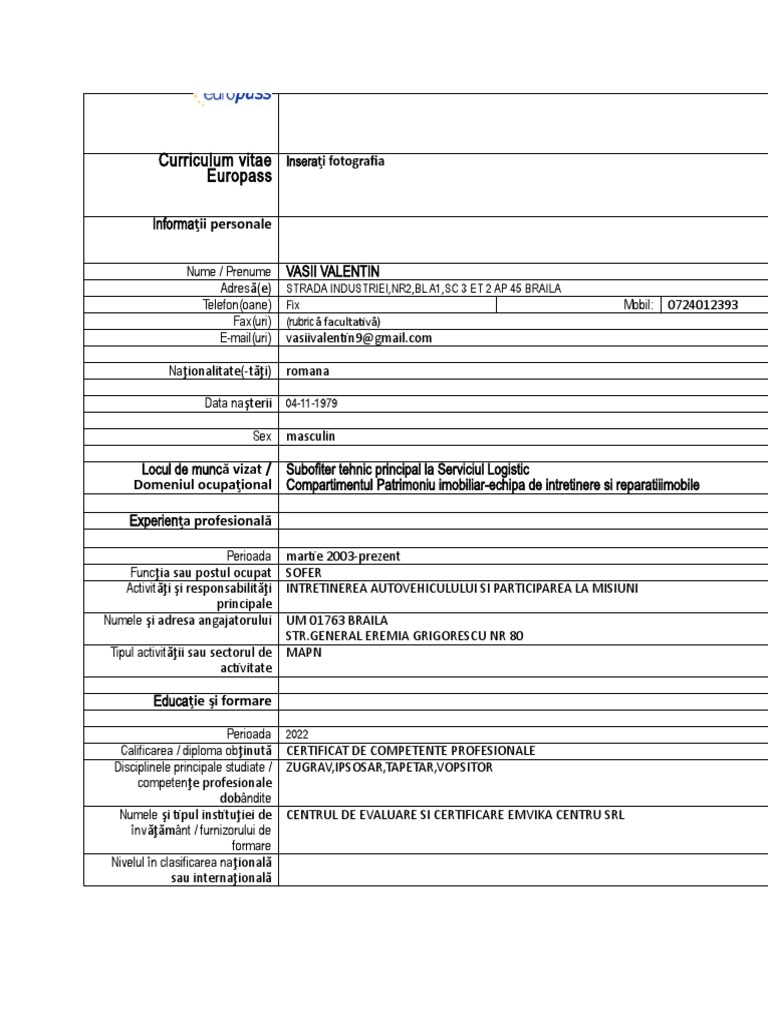 Anexa 3 Model CV Europass Editabil 15 | PDF