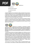 Anatomía y Cuidados de la Rata Wistar | PDF