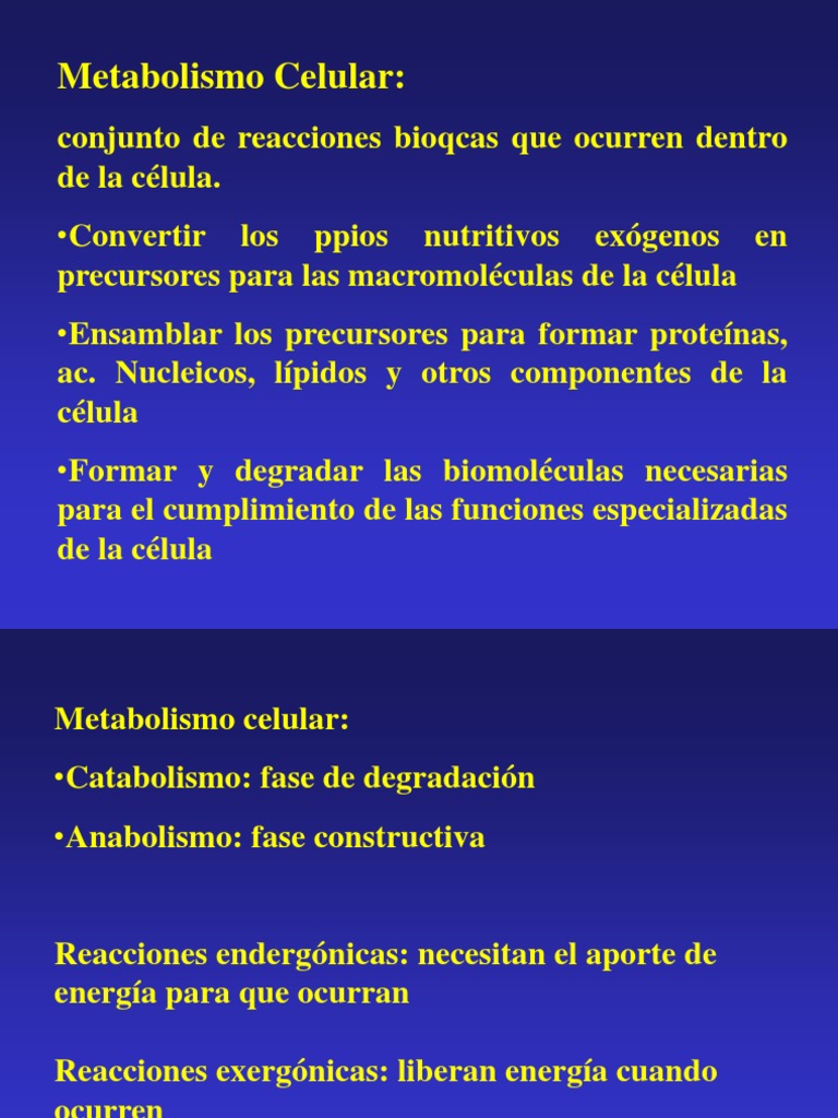 Enzimas y Resp. Celular | PDF | Metabolismo | Cadena de transporte de electrones